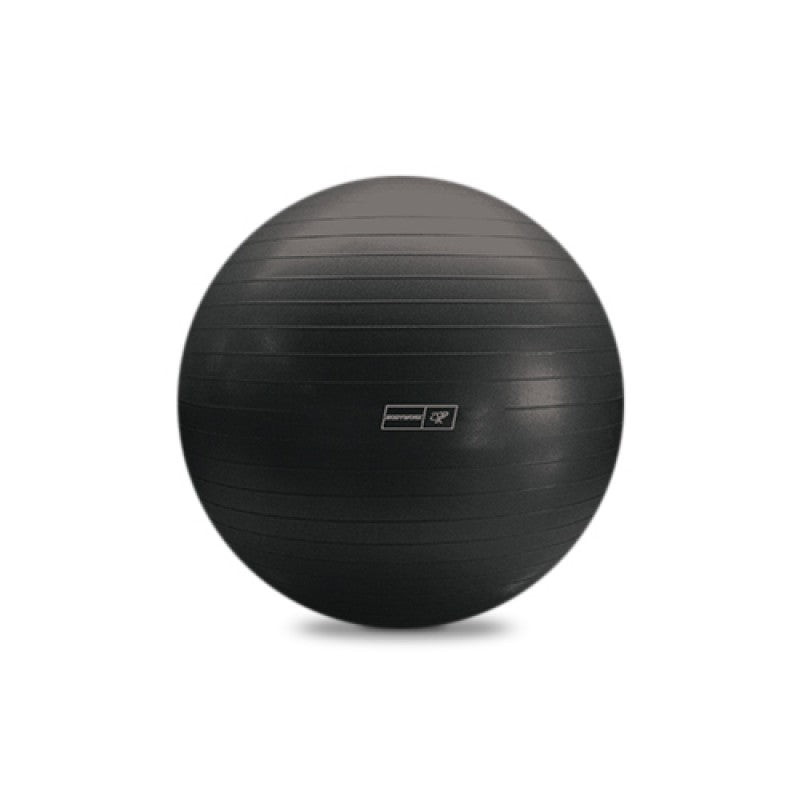 Gym Balls - Dynamo Fitness Equipment